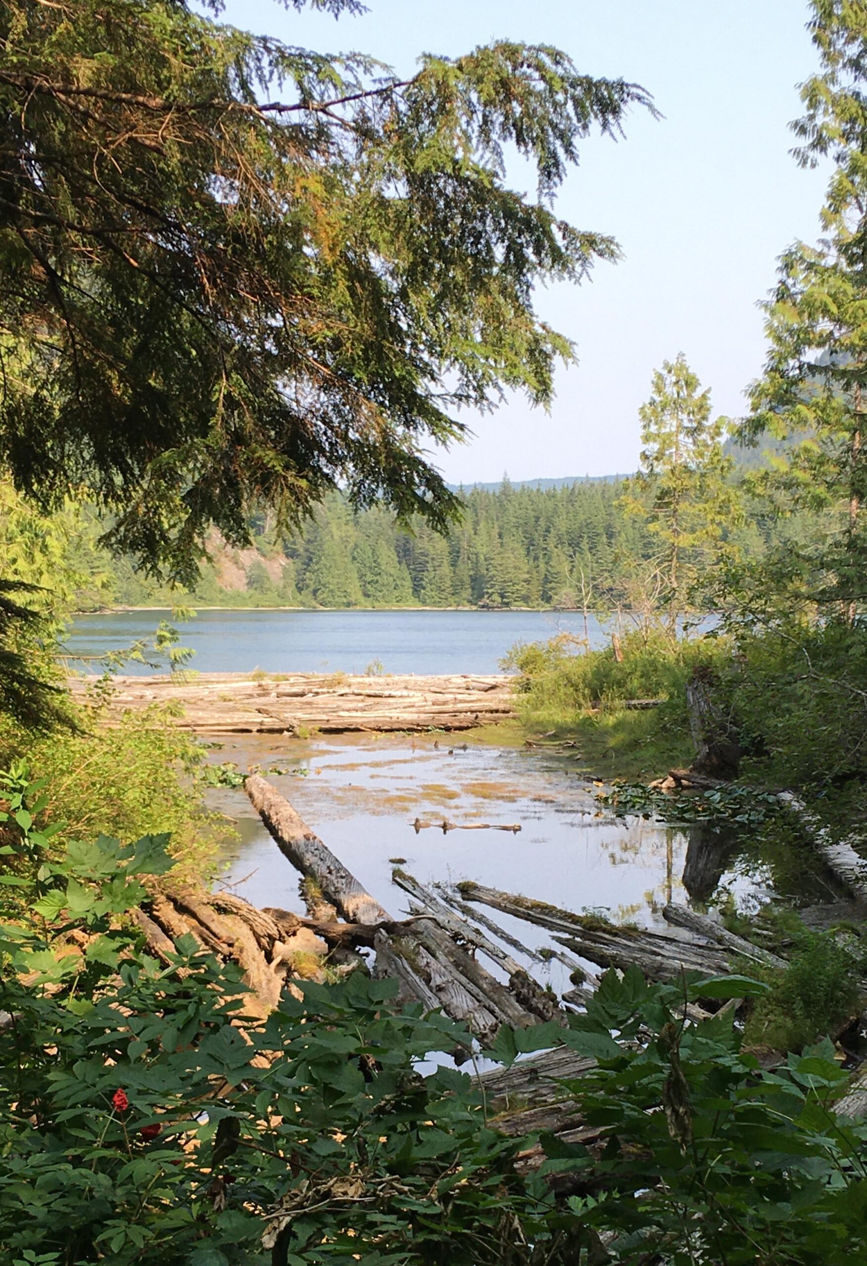 Finding Empowerment on the Wallace Lake Loop Trail