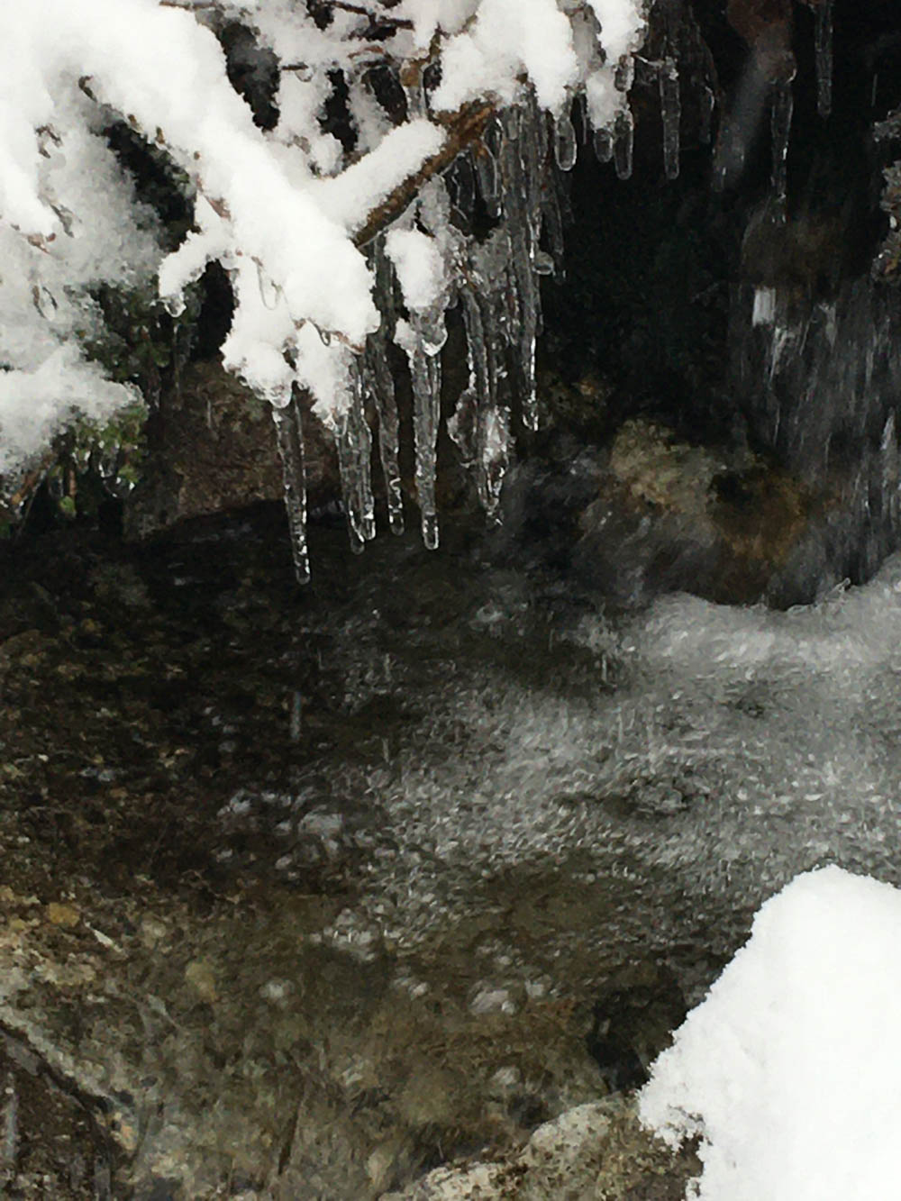 Lessons Learned During Surprise Snowfall at Mirror Lake
