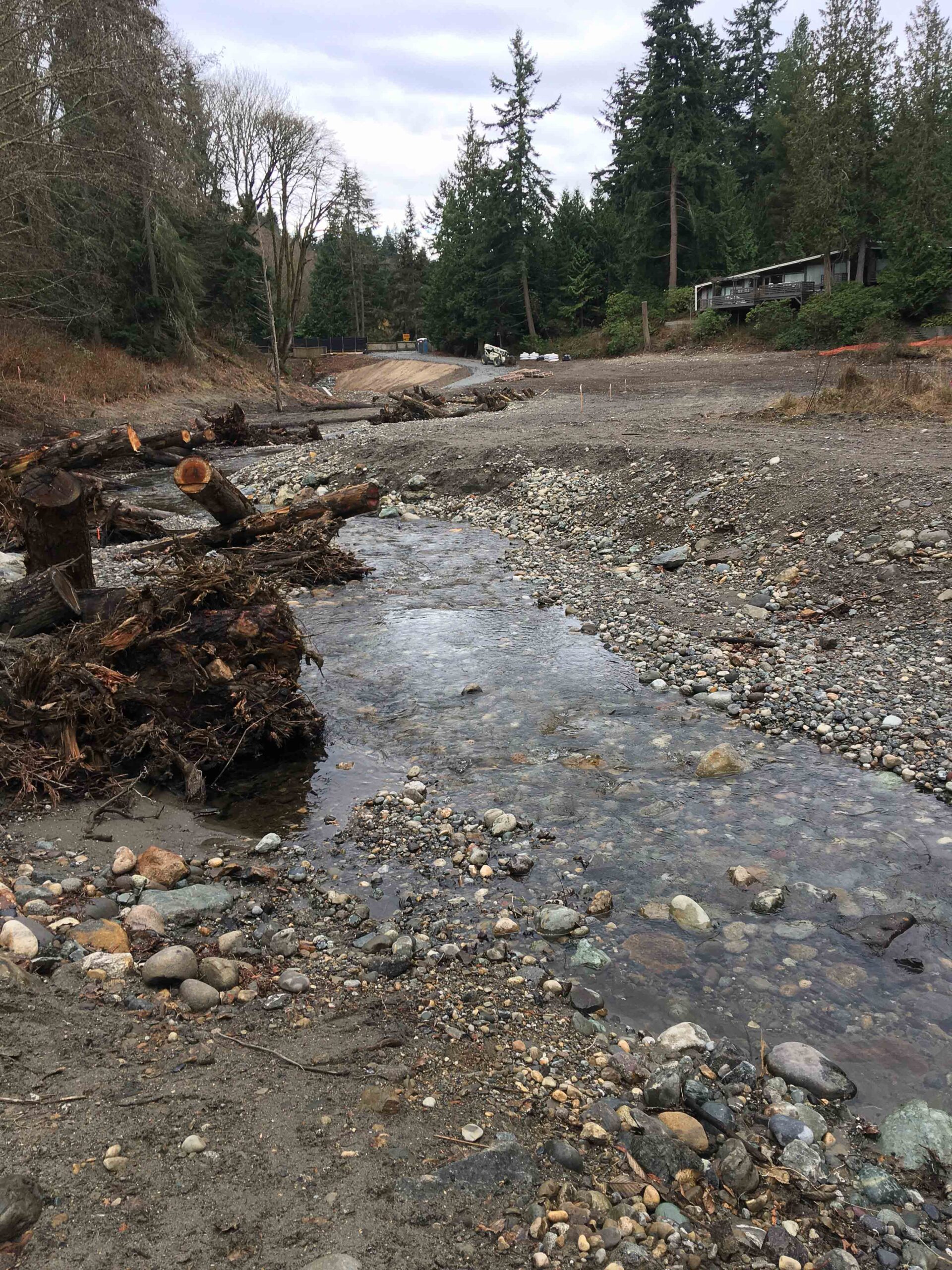 Discovering My Big Why While Exploring Local Parks