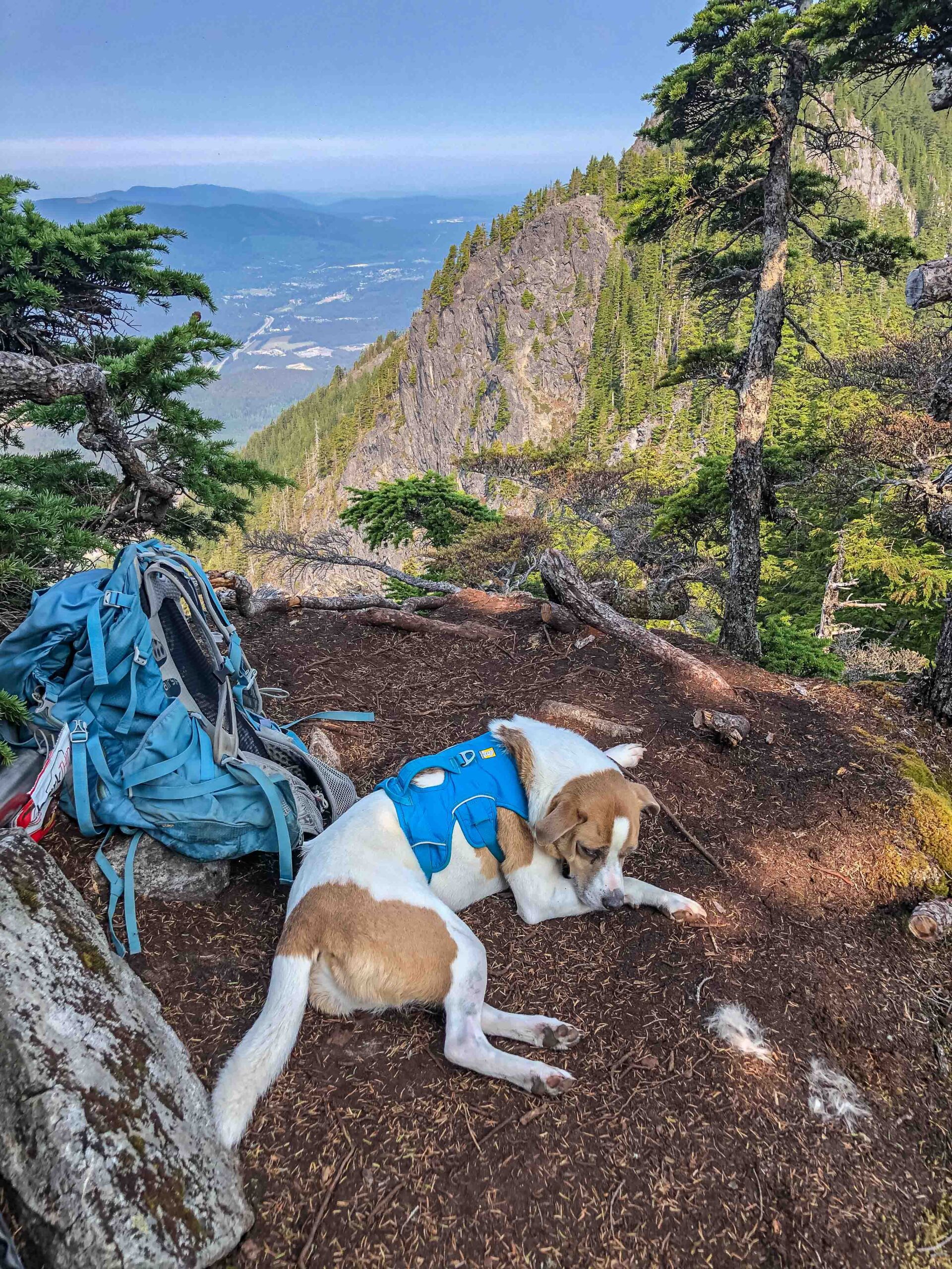 How To Make Good Decisions on Dirty Harry’s Peak