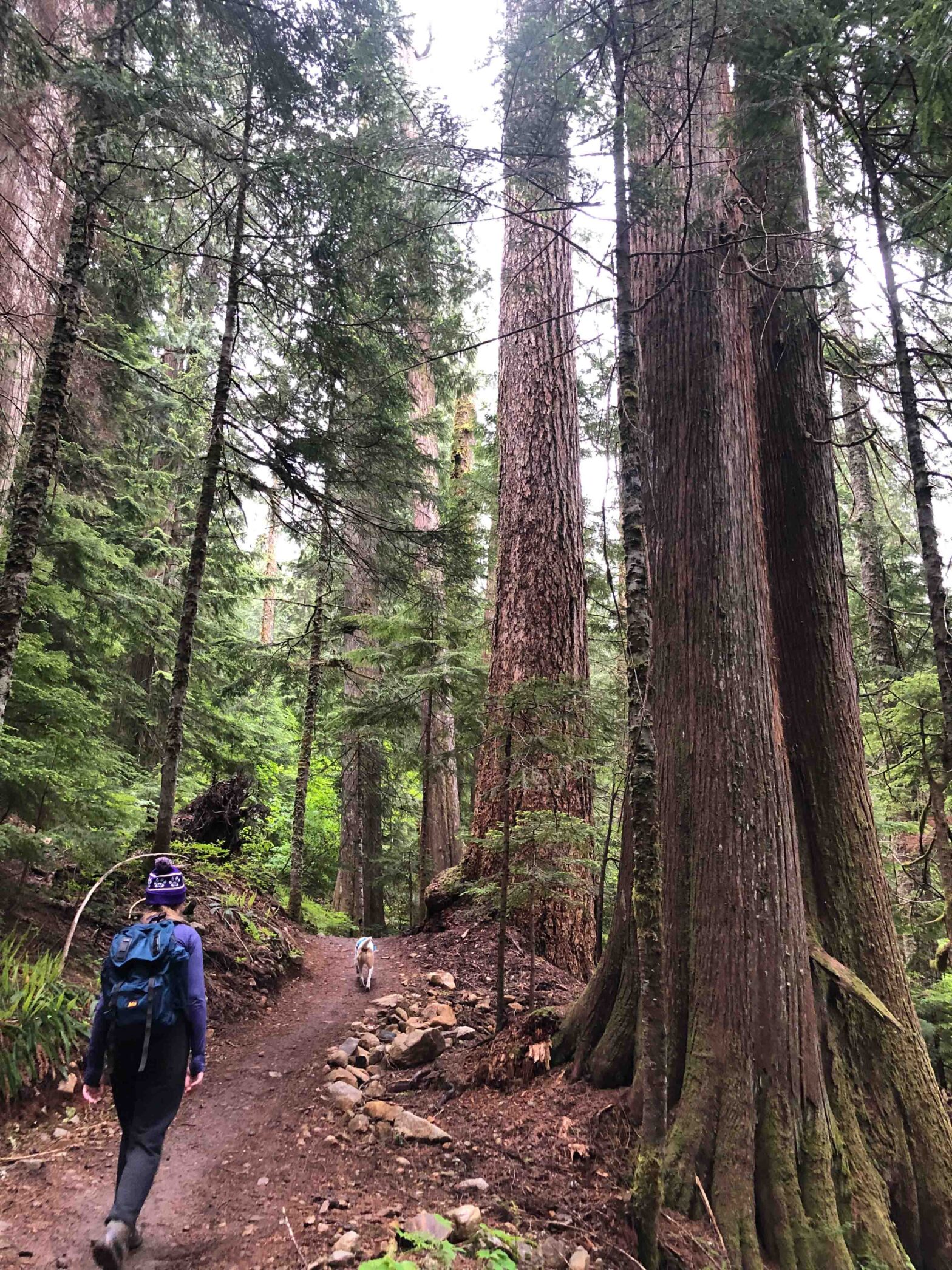 How to Coax New Hikers at Annette Lake - CourtSchurmanGO.com