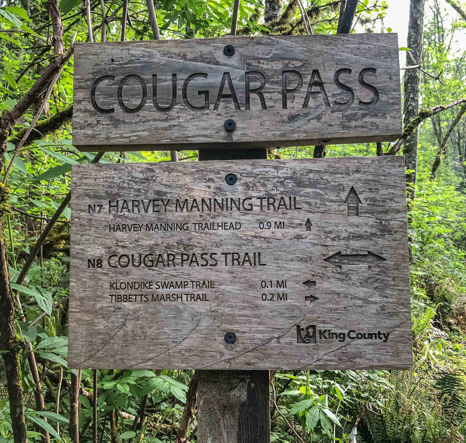 How to Assess Progress on Cougar Mountain