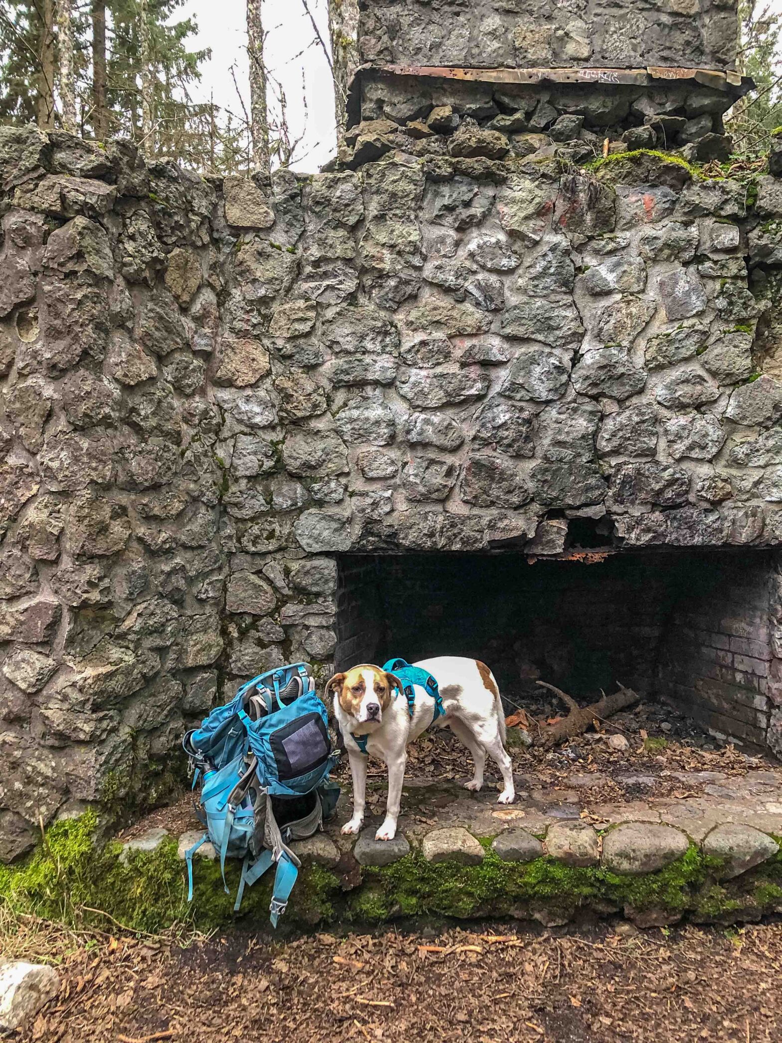 How to Grow a Hiking Practice: Join Court on Squak Mountain