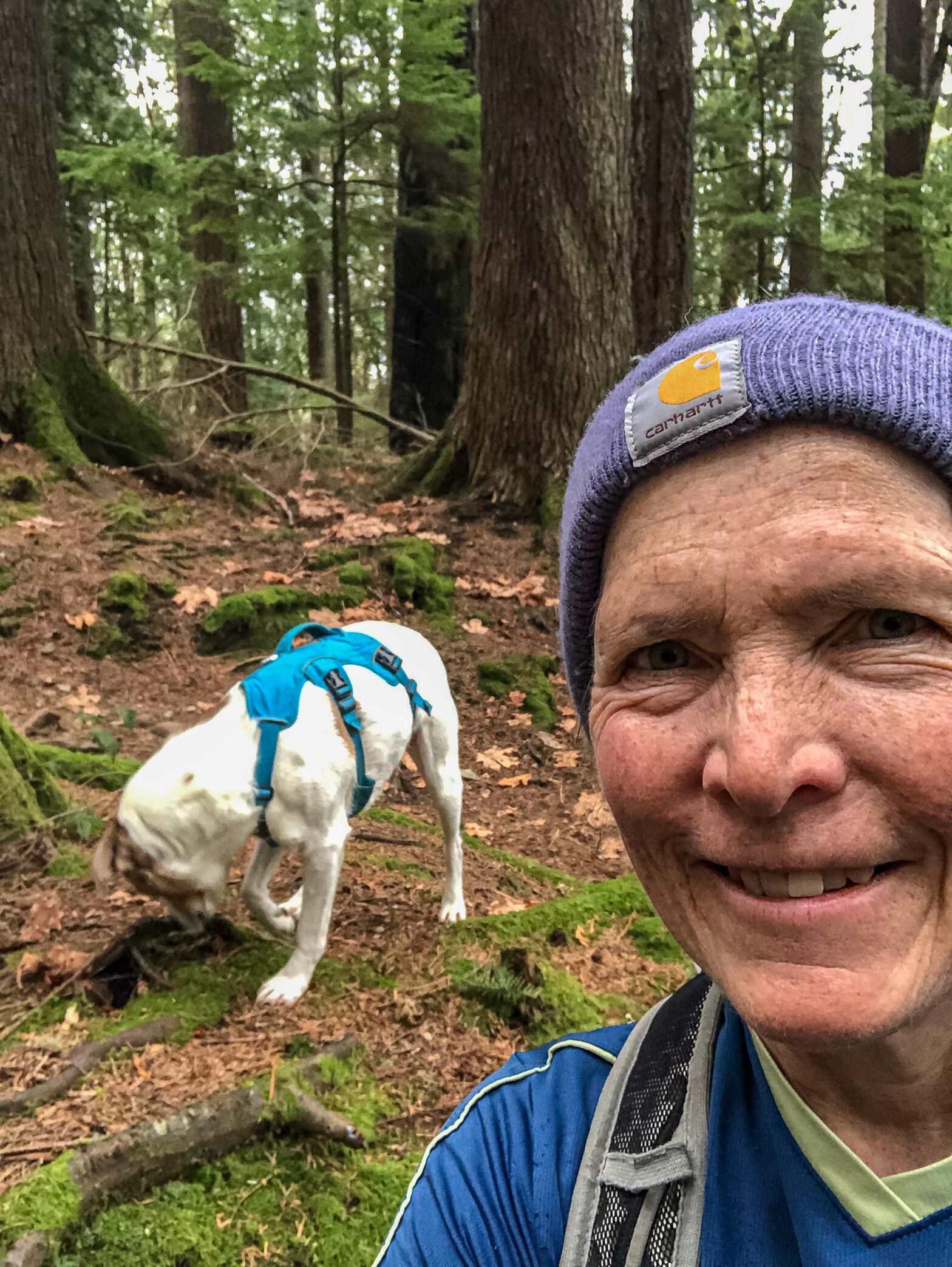 How to Grow a Hiking Practice: Join Court on Squak Mountain